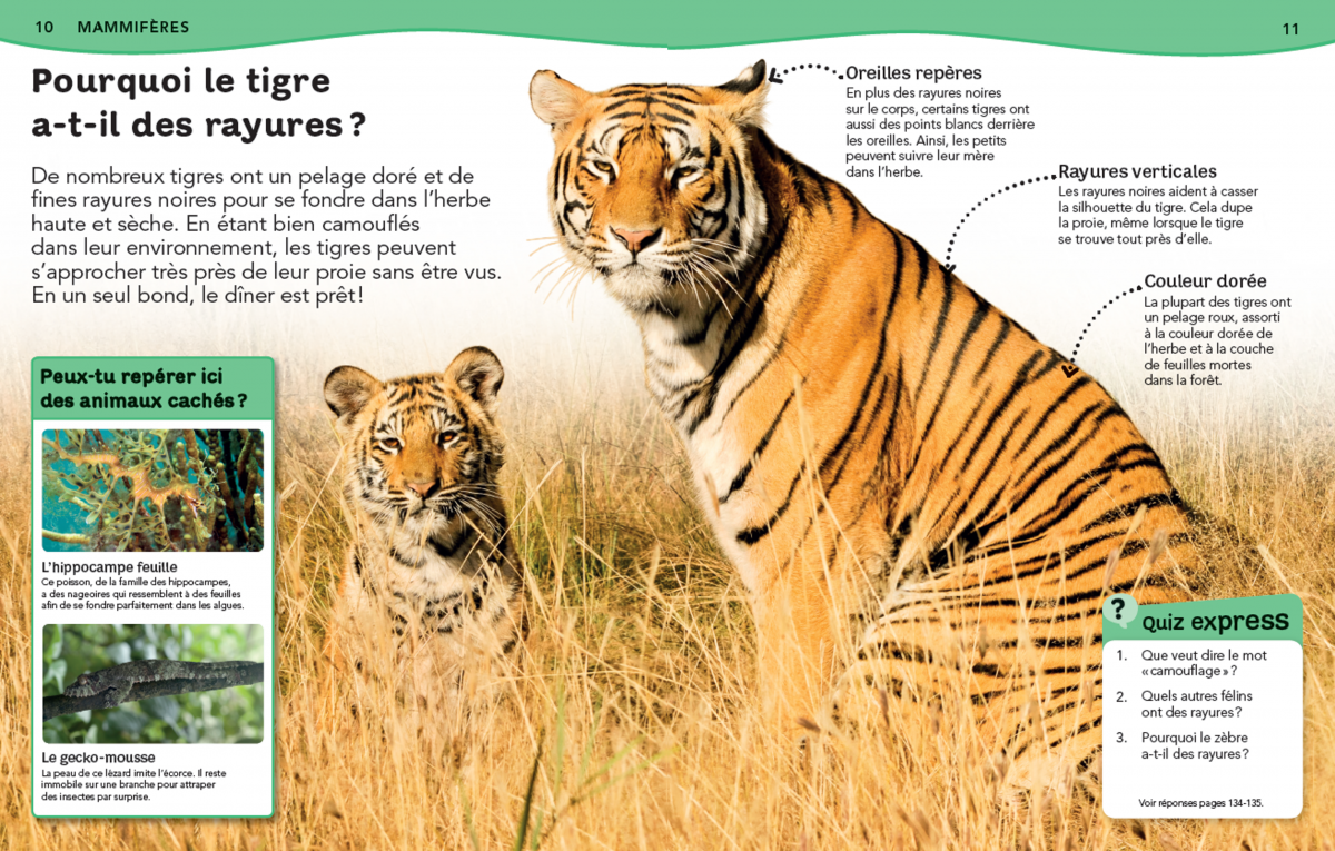 L'Encyclopédie des animaux - Questions/Réponses - Livre documentaire ...