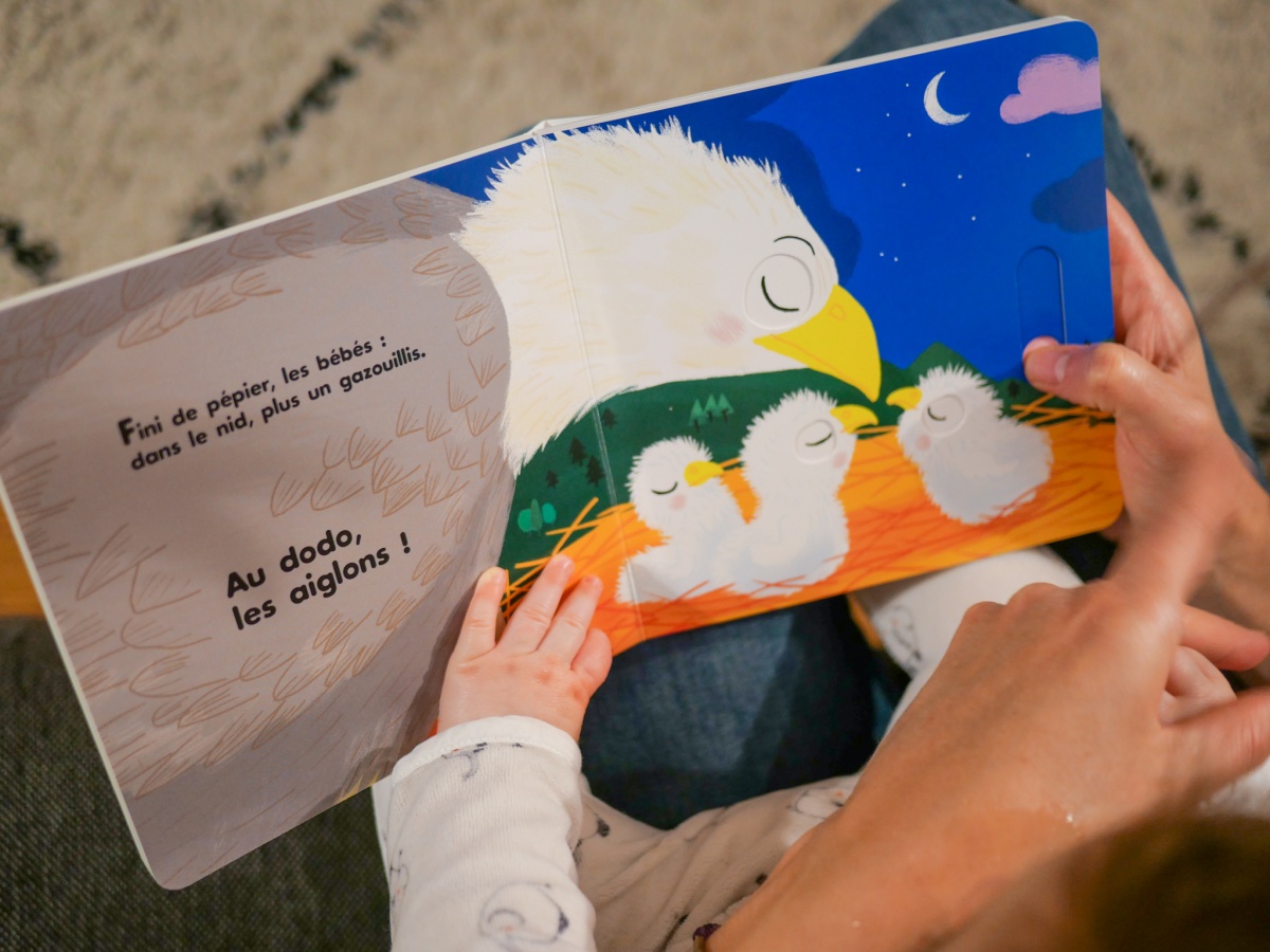 Au dodo - Les amis de la montagne - Livre animé Dès 6 mois - Pour ...