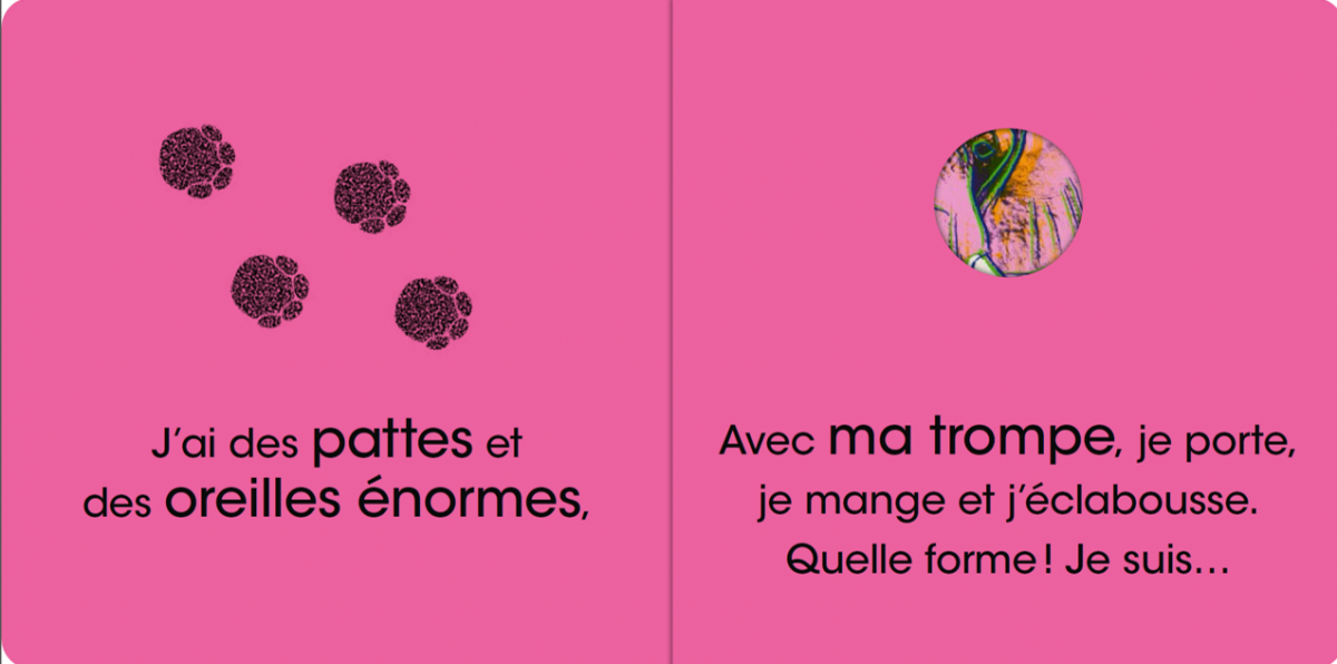 Tralal'art : Cache-cache au musée - Livre animé - Dès 2 ans | Nathan