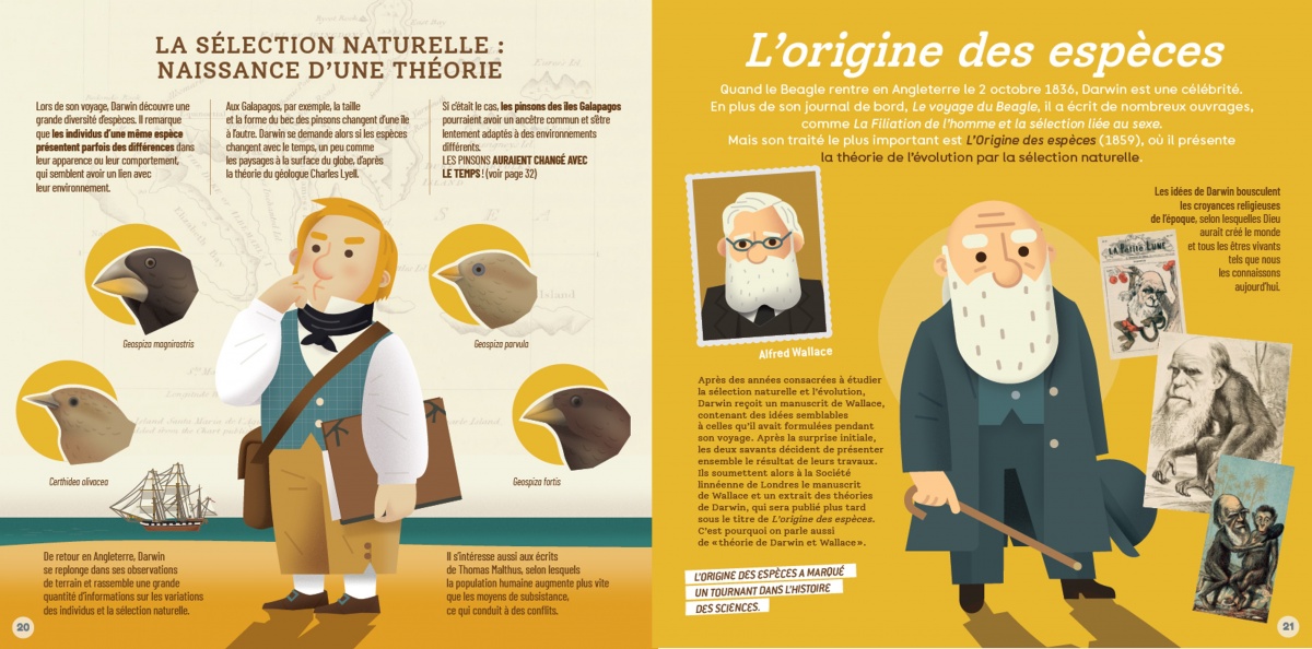 Pr. Darwin : L'évolution, même pas peur ! - une explication simple de ...