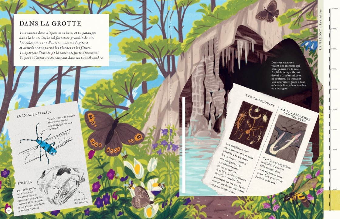 Il y a une montagne dans ce livre - un magnifique album avec des pages ...