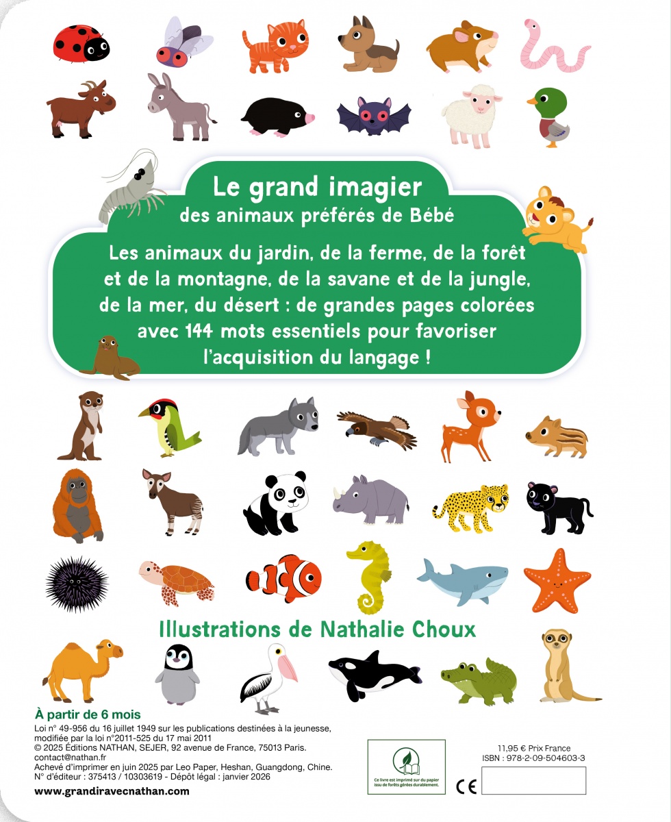 Mon grand imagier des animaux - Plus de 140 animaux à découvrir - dès 1 ...