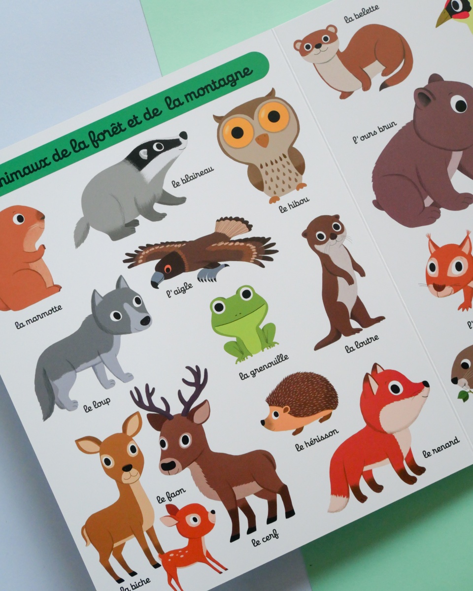 Mon grand imagier des animaux - Plus de 140 animaux à découvrir - dès 1 ...