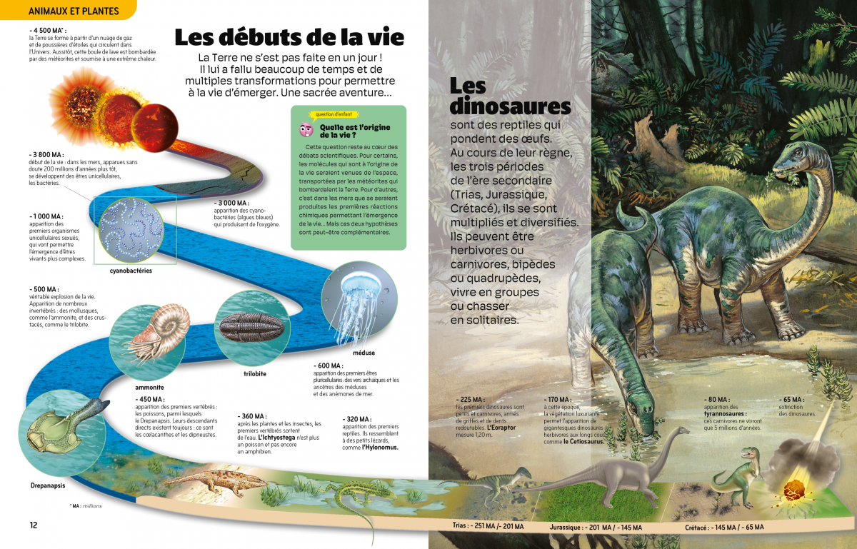 La grande encyclopédie Nathan - Livre documentaire complet pour enfants ...