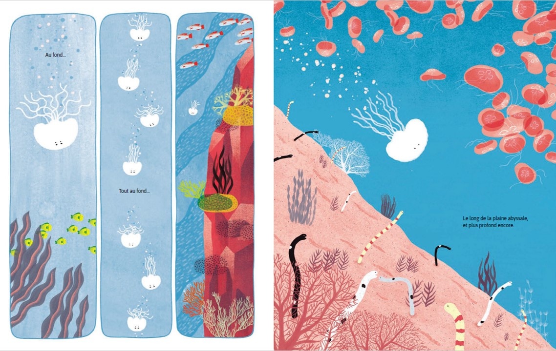 Le bus méduse - un album tendre et malicieux pour découvrir la vie des océans à bord d'une ...